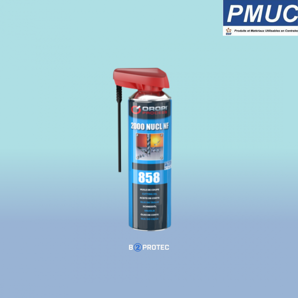 ORAPI 858 2000 NUCL NF PMUC | b2protec
